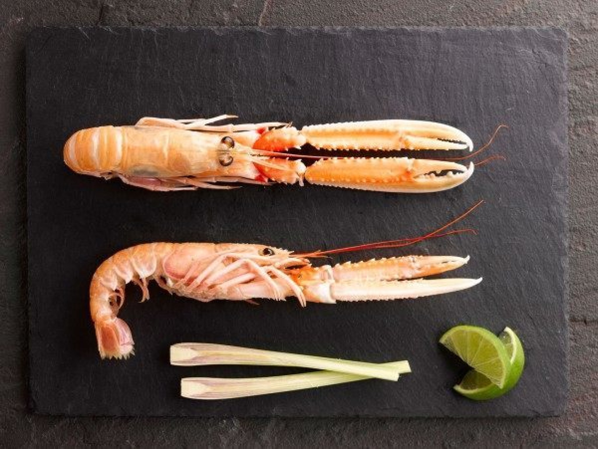 The Shellfish Directory | Black Apron